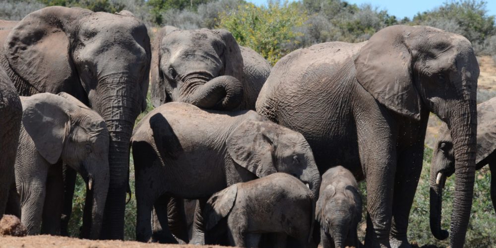 The Trump Base Is Blamed for GOP Woes in Colorado, But Powerful ...