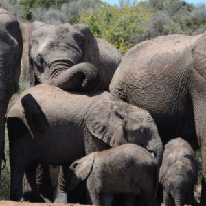 Exit Interview: Darcy Schoening Steps Down From Directing Colorado Moms ...