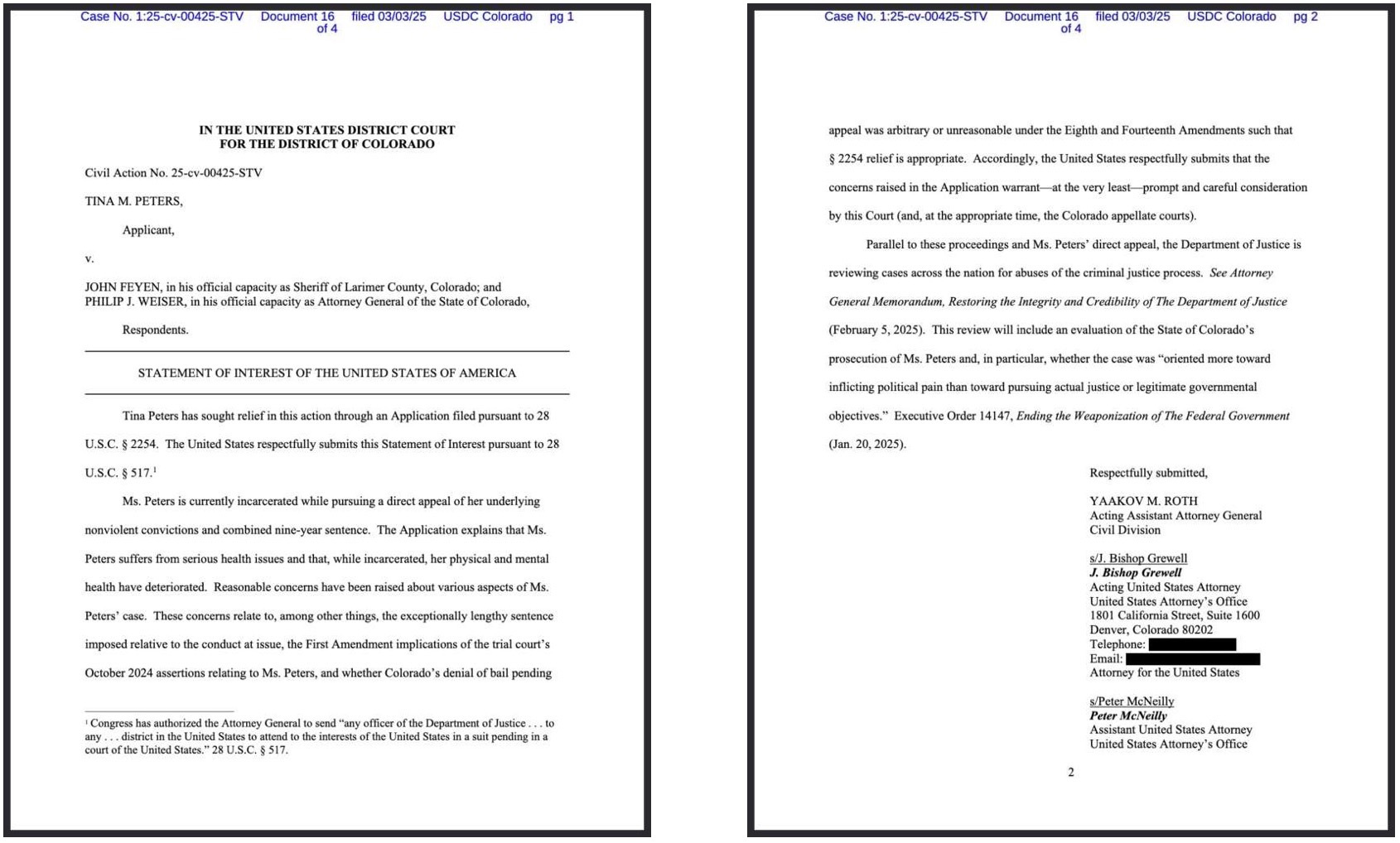 Election Deniers Celebrate Dept. of Justice Intervention in Tina Peters’ Bail Request